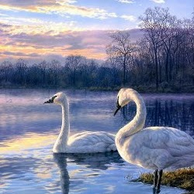 Joy Insurance | Insuring Middletown & New York